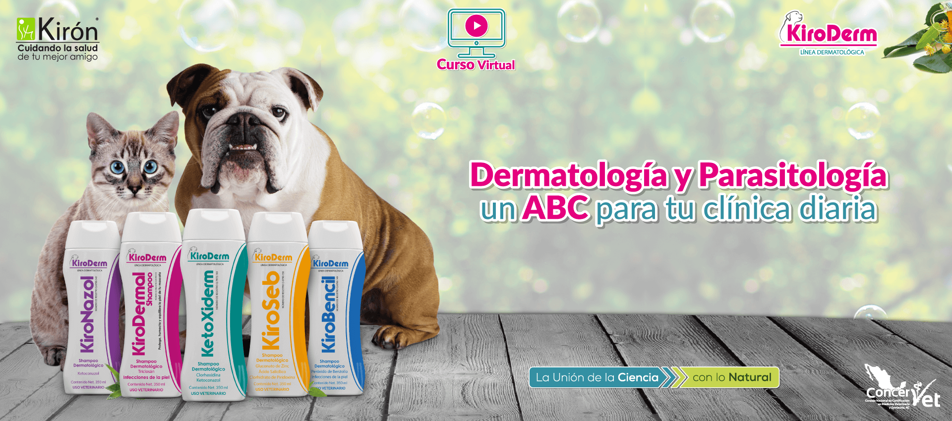 Inicio Kiron - Laboratorios Kirón