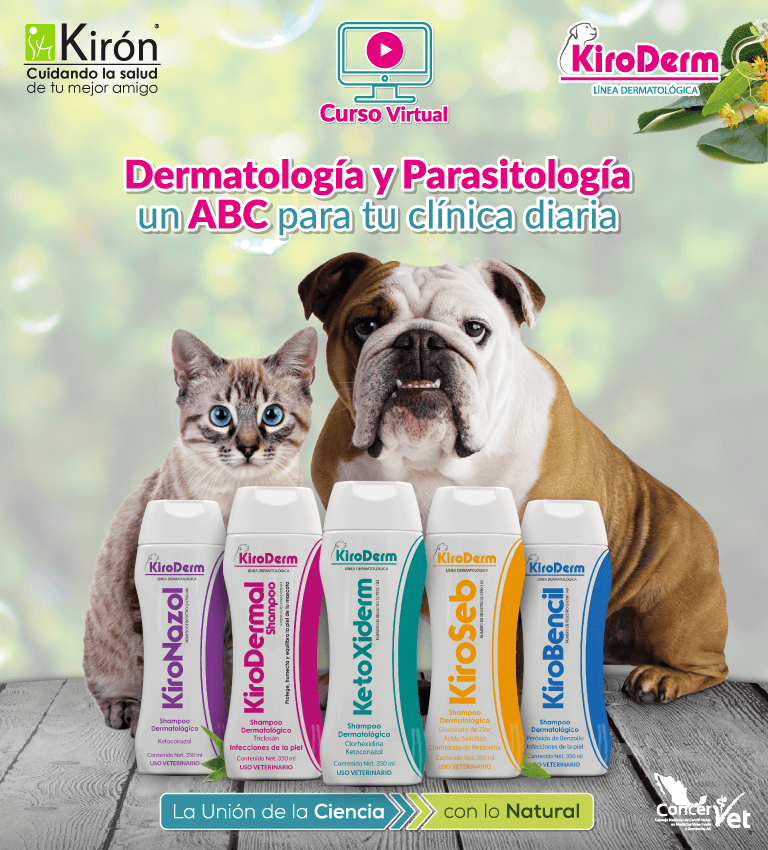 Inicio Kiron - Laboratorios Kirón