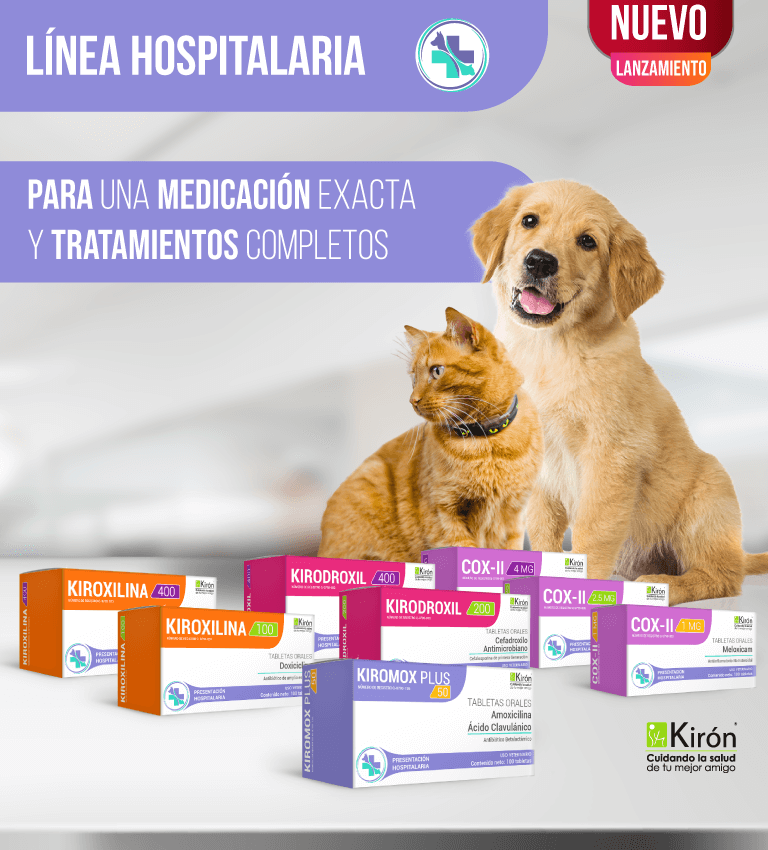 Inicio Kiron - Laboratorios Kirón