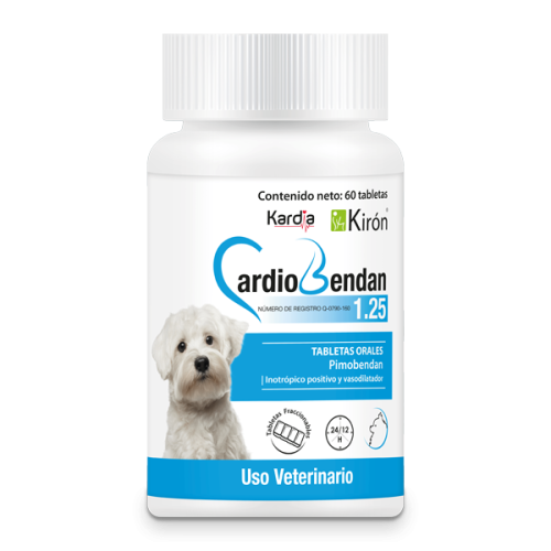 Productos Kirón - Cuidando la salud de tu mejor amigo