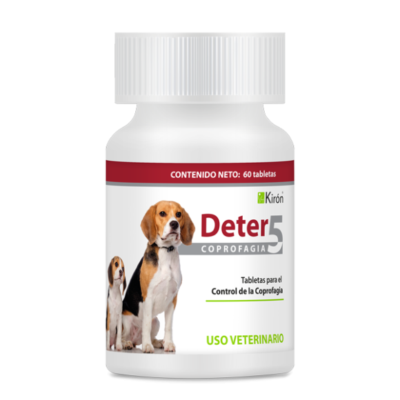 Deter Coprofagia 5 - Cuidando la salud de tu mejor amigo