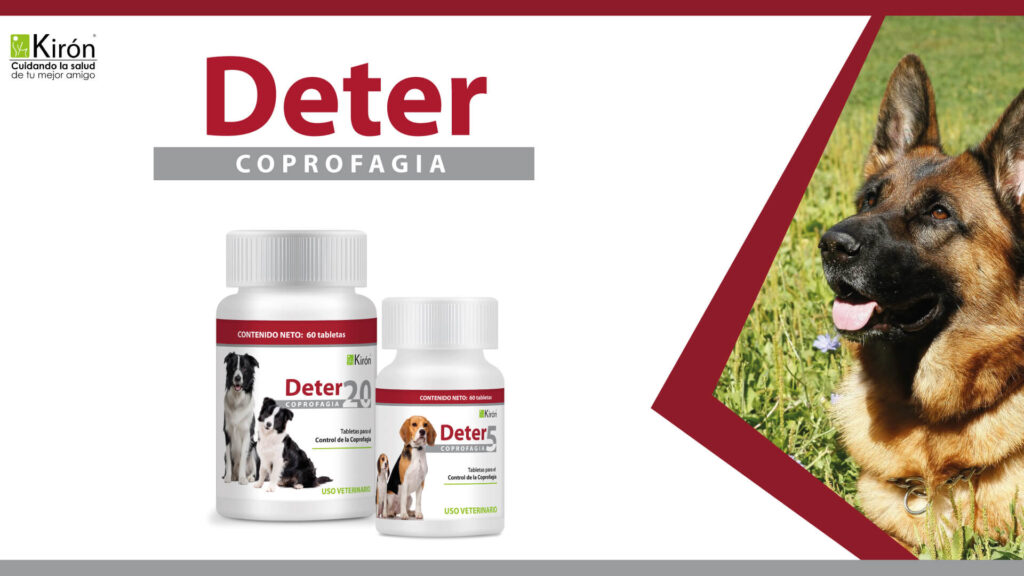 Videoteca Kiron - Cuidando la salud de tu mejor amigo