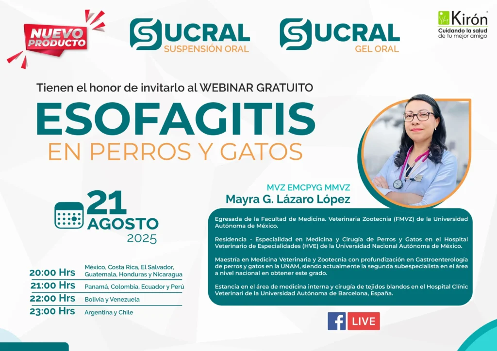 ESOFAGITIS EN PERROS Y GATOS - Cuidando la salud de tu mejor amigo